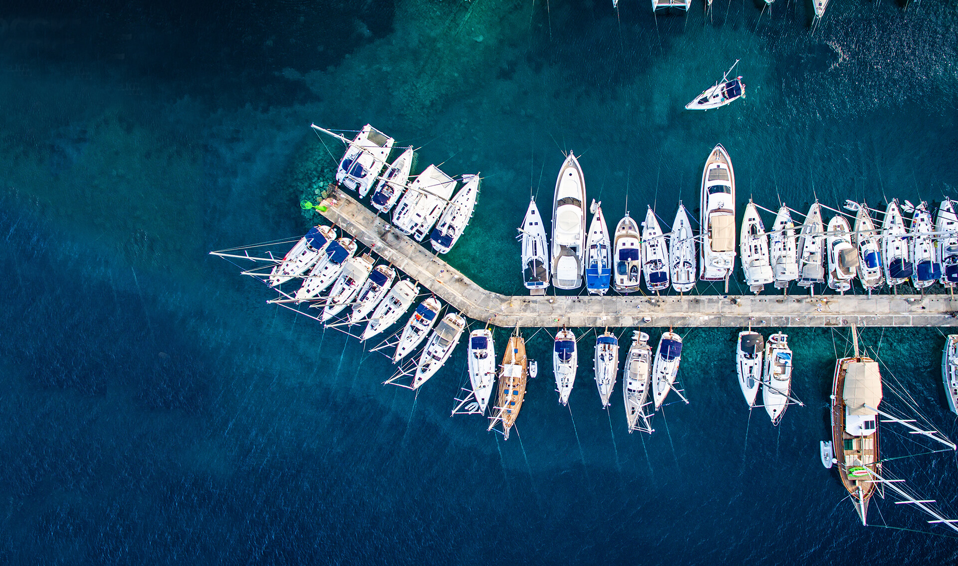 Codespring Ecosystem - Codespring - Software Development and Outsourcing company, Cluj-Napoca ...